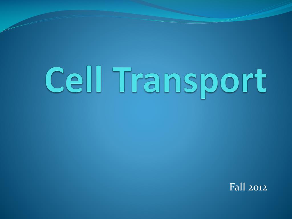 PPT - Cell Transport PowerPoint Presentation, free download - ID:5493115