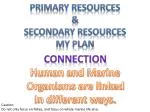 PPT - Primary and Secondary Resources PowerPoint Presentation, free ...