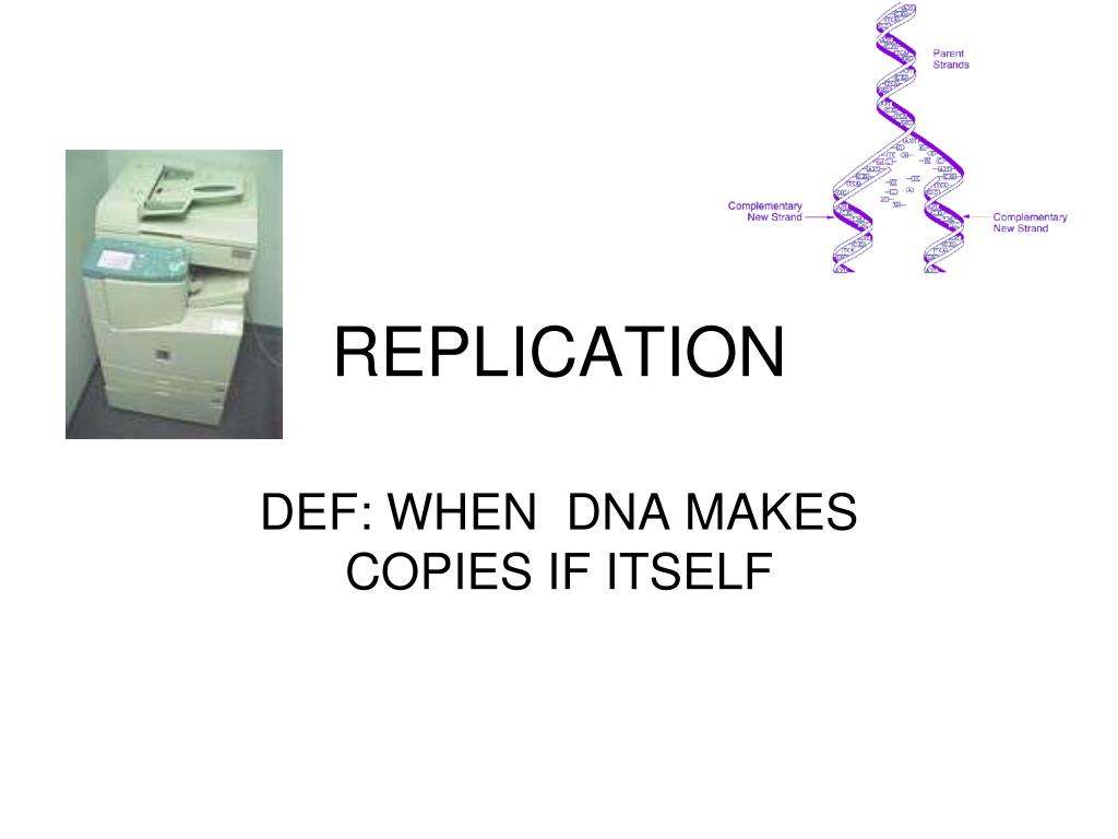 PPT - REPLICATION PowerPoint Presentation, free download - ID:5493684
