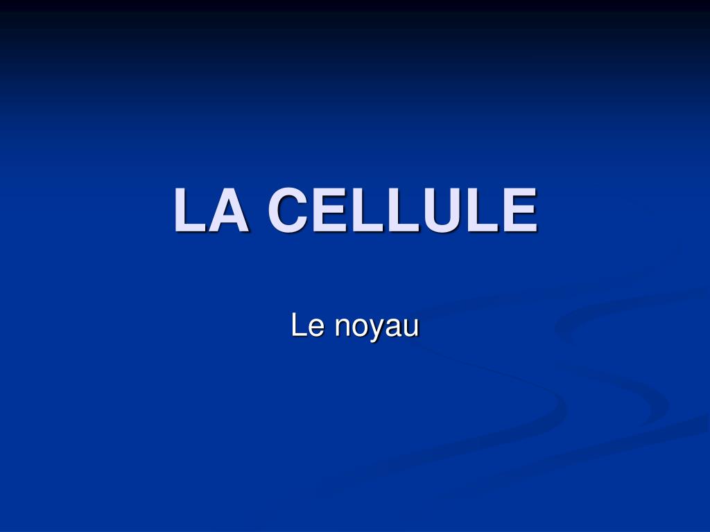 PPT - LA CELLULE PowerPoint Presentation, free download - ID:5495414