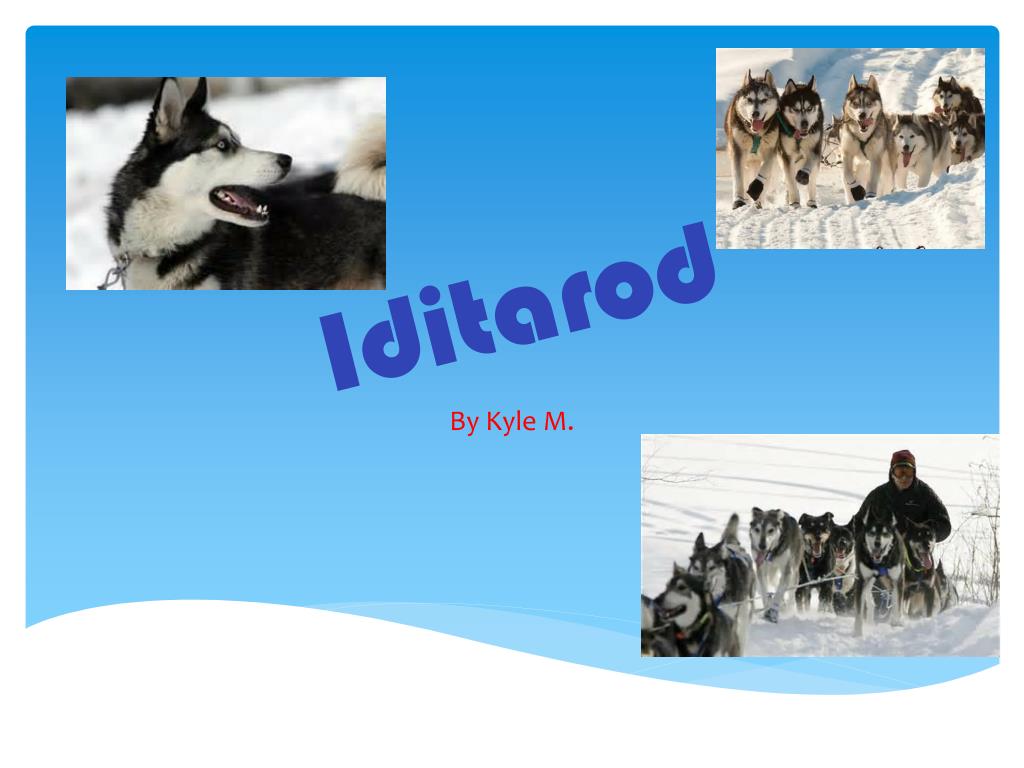 PPT - Iditarod PowerPoint Presentation, free download - ID:5496198