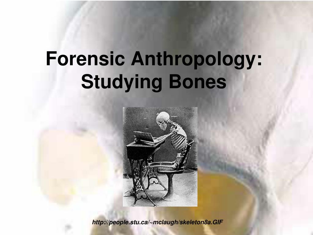 PPT - Forensic Anthropology: Studying Bones PowerPoint Presentation ...