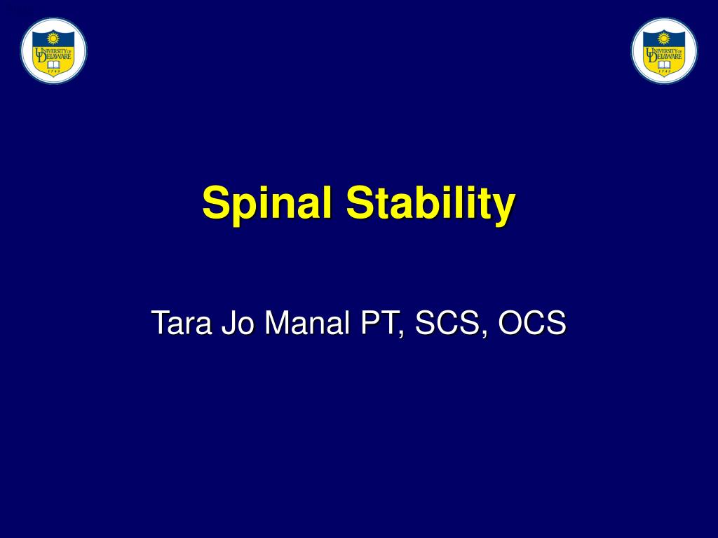 PPT - Spinal Stability PowerPoint Presentation, free download - ID:5498618