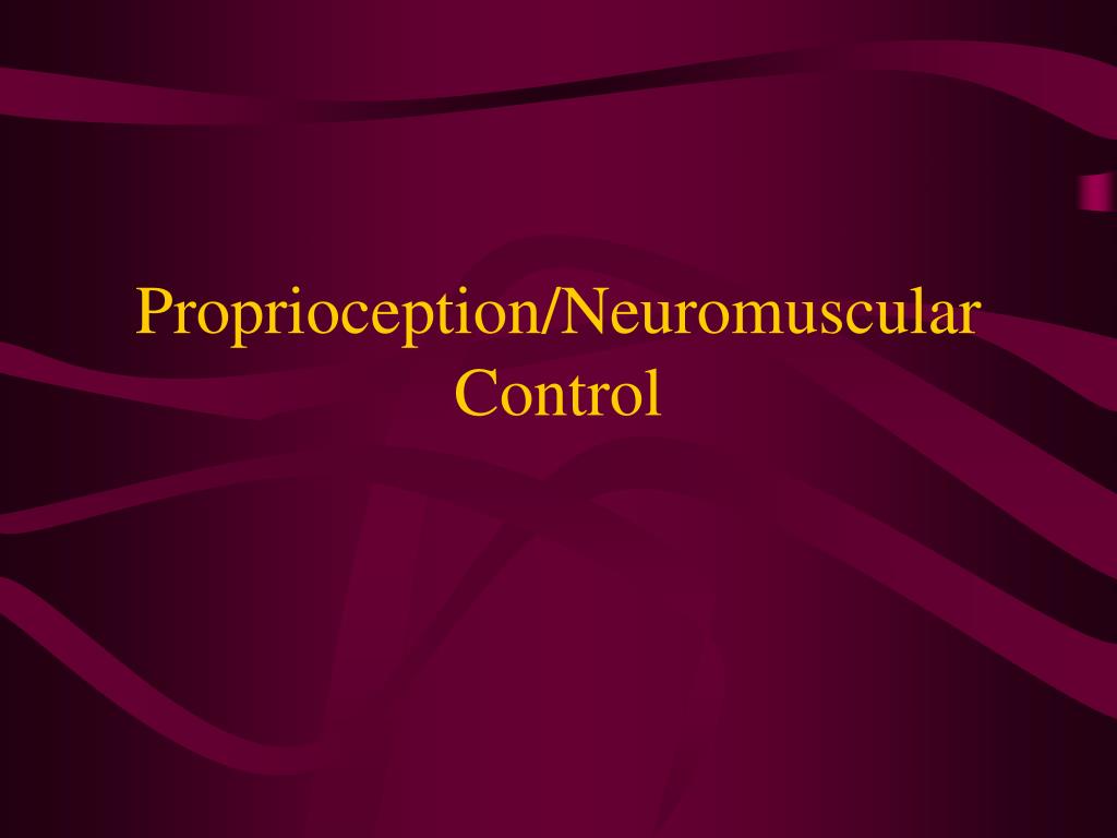 PPT - Proprioception/Neuromuscular Control PowerPoint Presentation ...