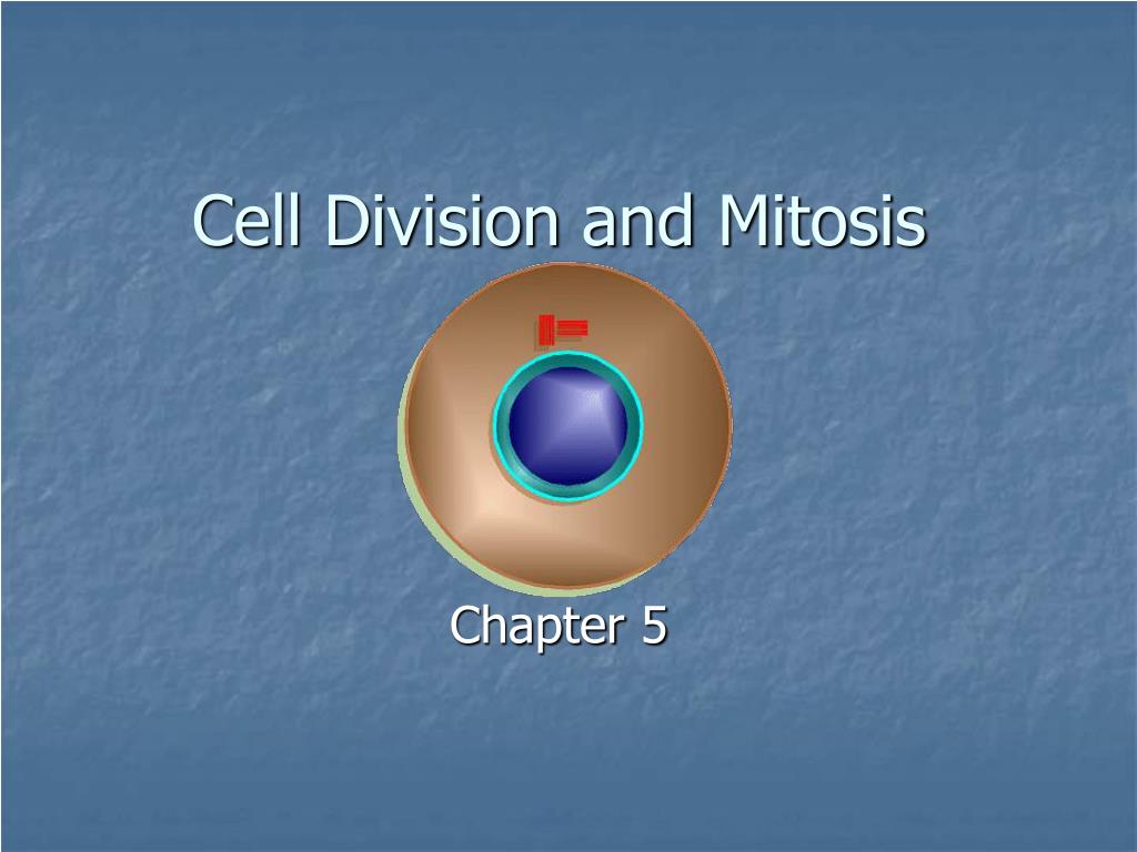 PPT - Cell Division and Mitosis PowerPoint Presentation, free download ...