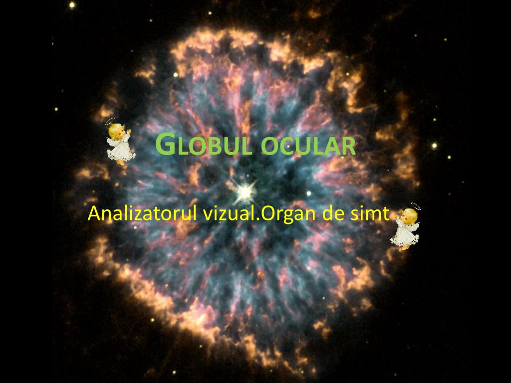 PPT - Globul ocular PowerPoint Presentation, free download - ID:5501539