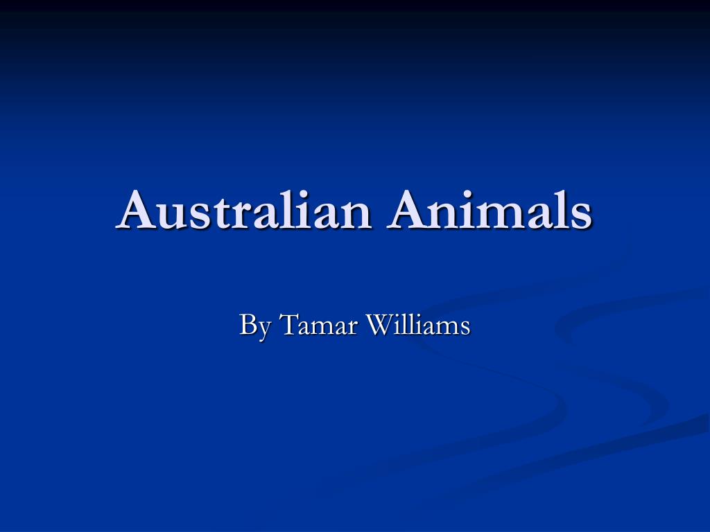 PPT - Australian Animals PowerPoint Presentation, free download - ID ...