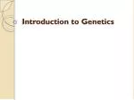 PPT - Introduction to Genetics PowerPoint Presentation, free download ...