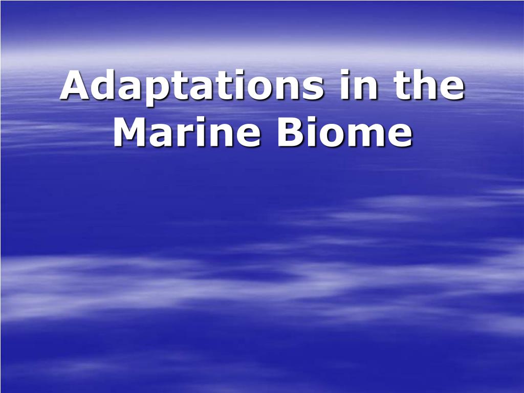 PPT - Adaptations in the Marine Biome PowerPoint Presentation, free ...