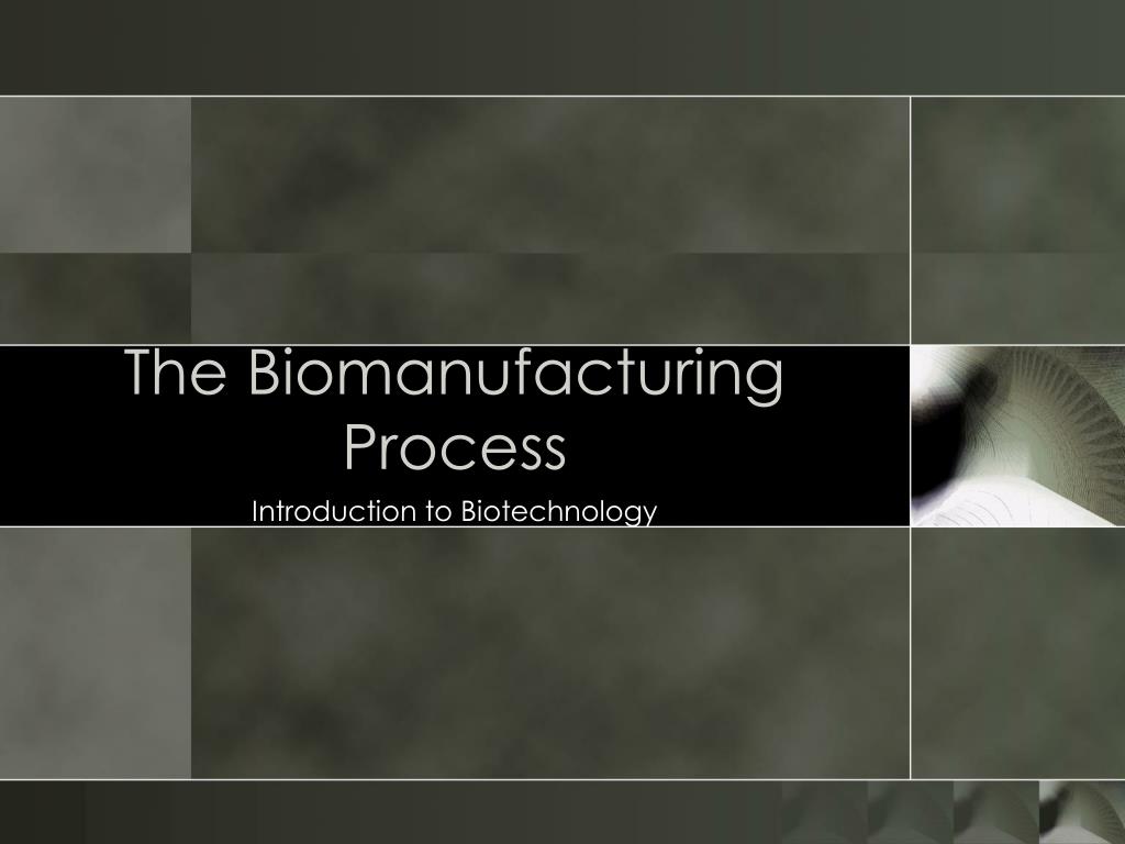 PPT - The Biomanufacturing Process PowerPoint Presentation, free ...