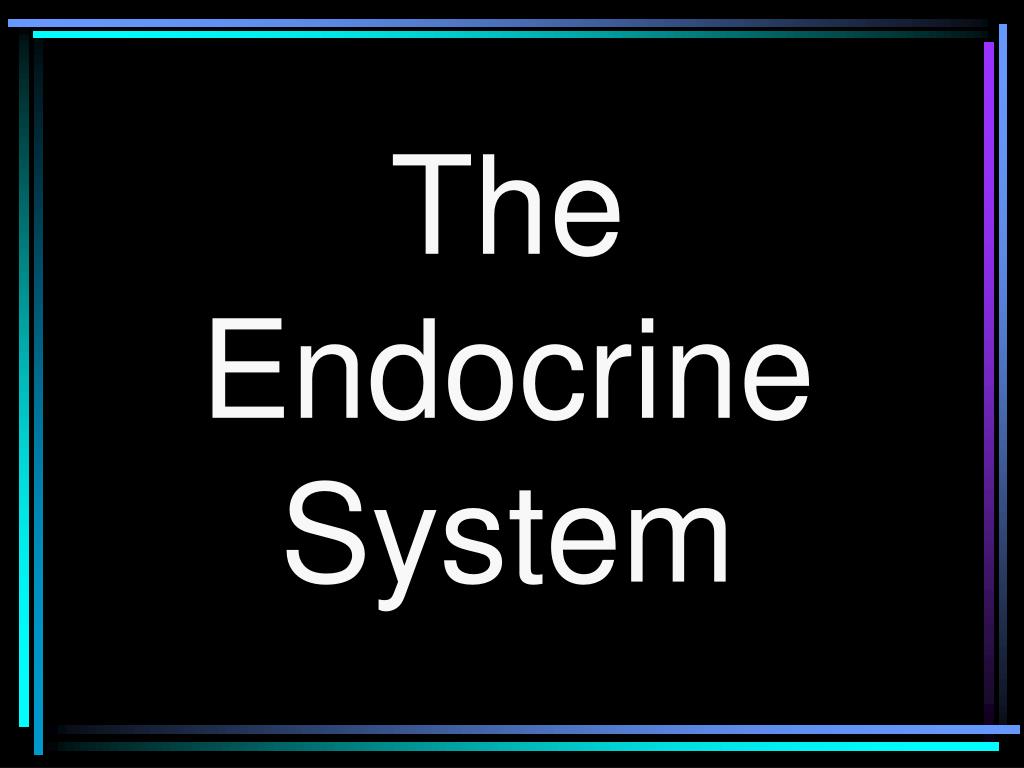 PPT - Overview of the Endocrine System: Functions, Anatomy, and ...