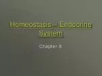 PPT - Homeostasis and Endocrine Signaling PowerPoint Presentation, free ...