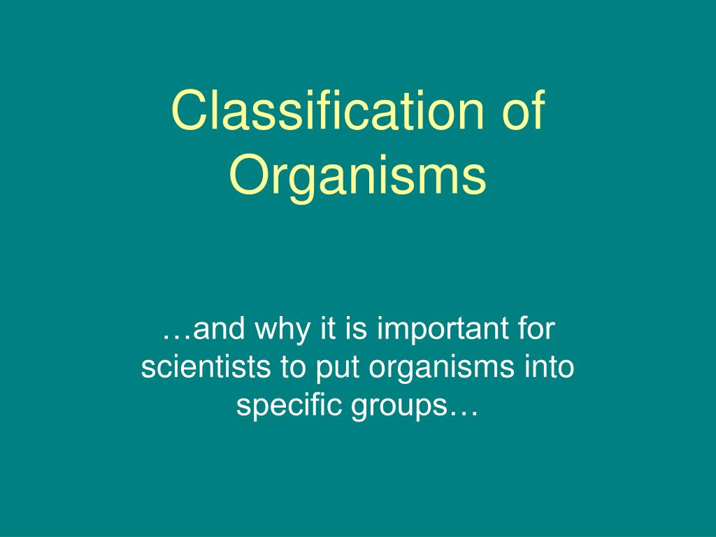 PPT - Classification of Organisms PowerPoint Presentation, free ...