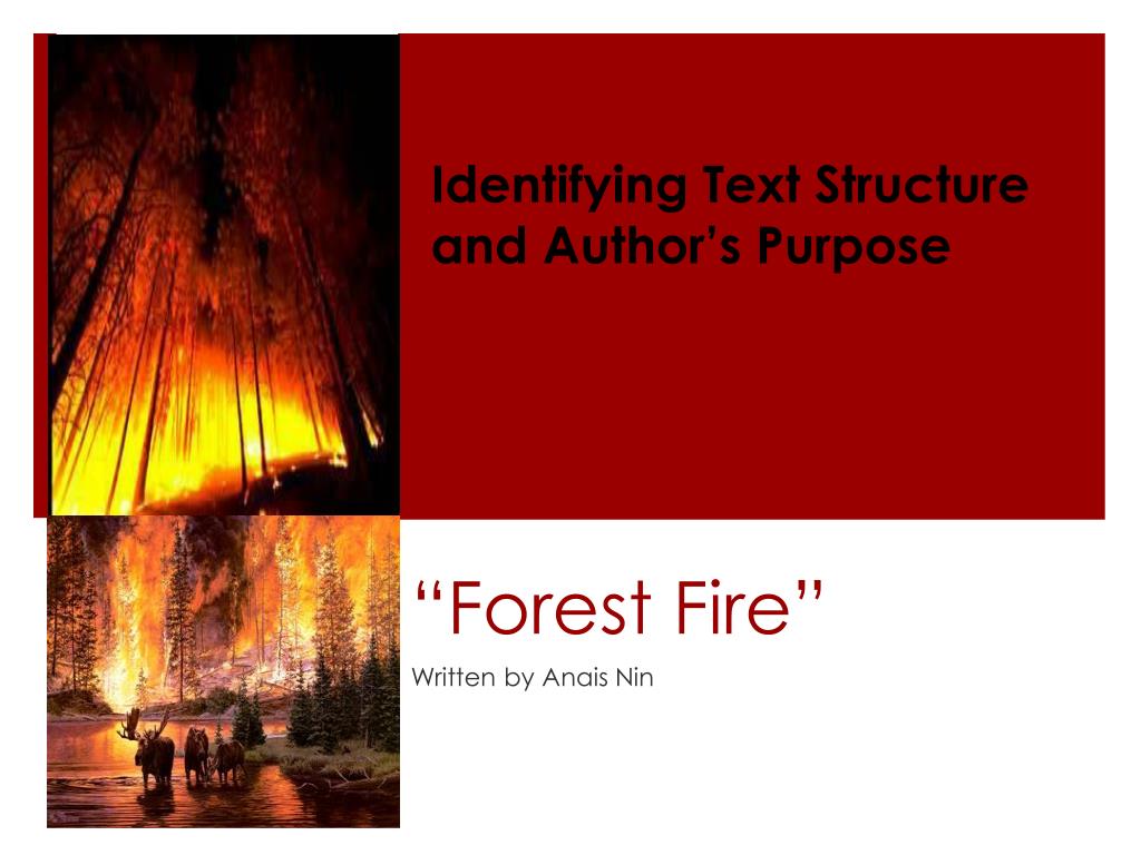 PPT - “Forest Fire” PowerPoint Presentation, free download - ID:5508383