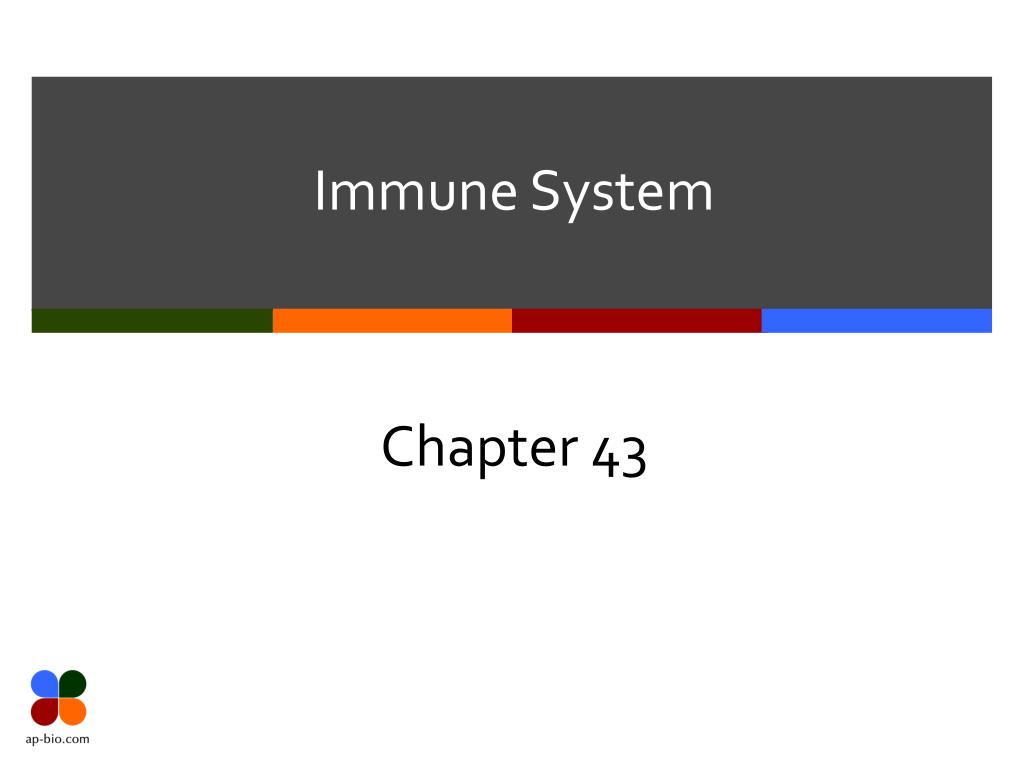 PPT - Immune System PowerPoint Presentation, free download - ID:5510561