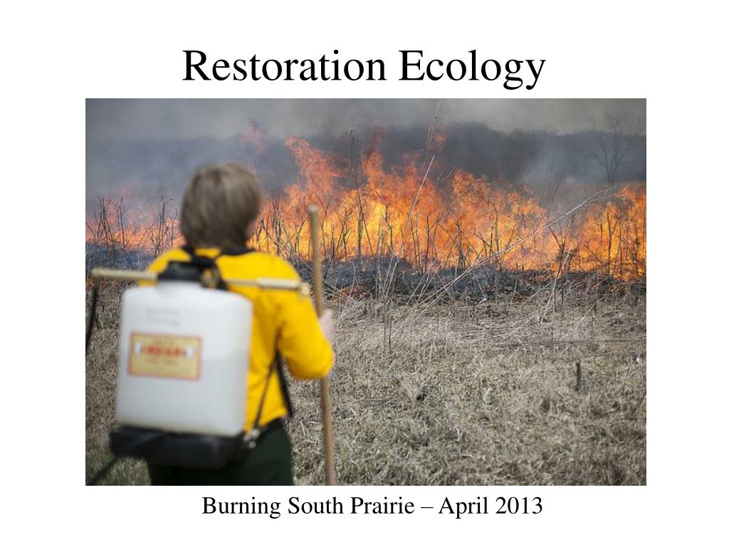 PPT - Restoration Ecology PowerPoint Presentation, free download - ID ...