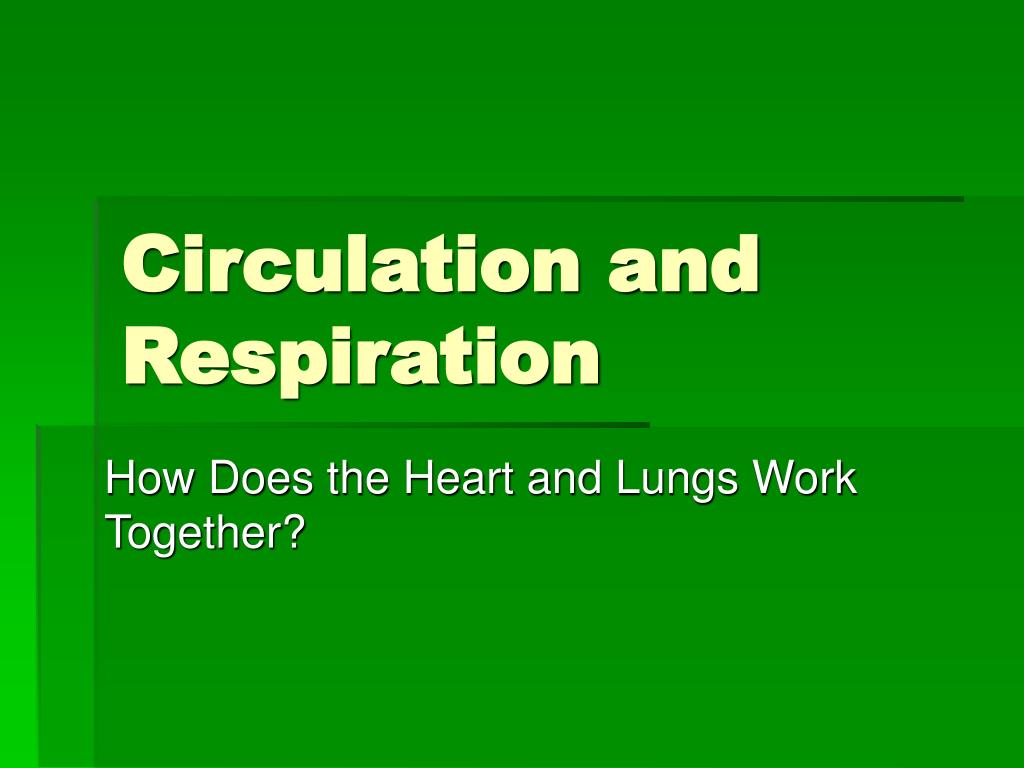 PPT - Circulation and Respiration PowerPoint Presentation, free ...