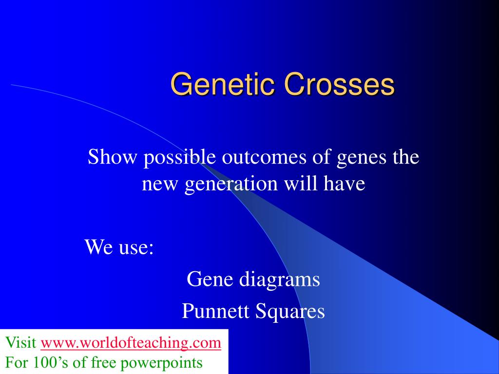 PPT - Genetic Crosses PowerPoint Presentation, free download - ID:5515675