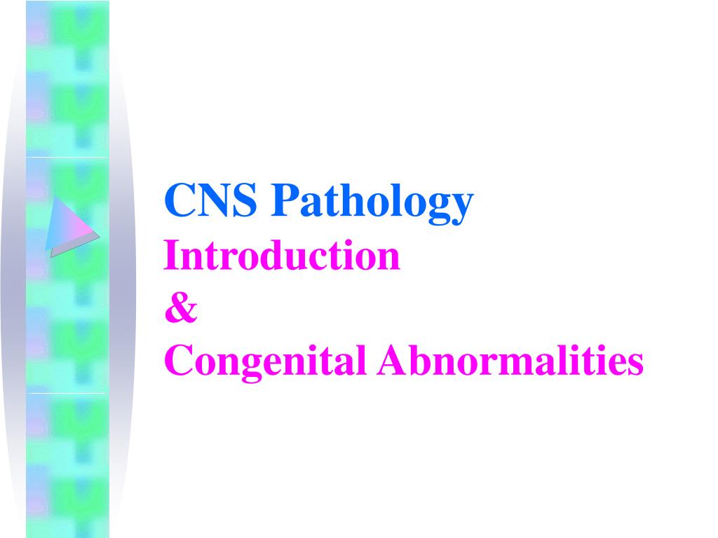 PPT - CNS Pathology Introduction & Congenital Abnormalities PowerPoint Presentation - ID:5519176