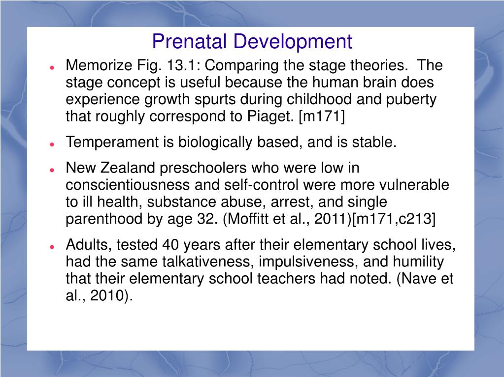 PPT - Prenatal Development PowerPoint Presentation, free download - ID ...