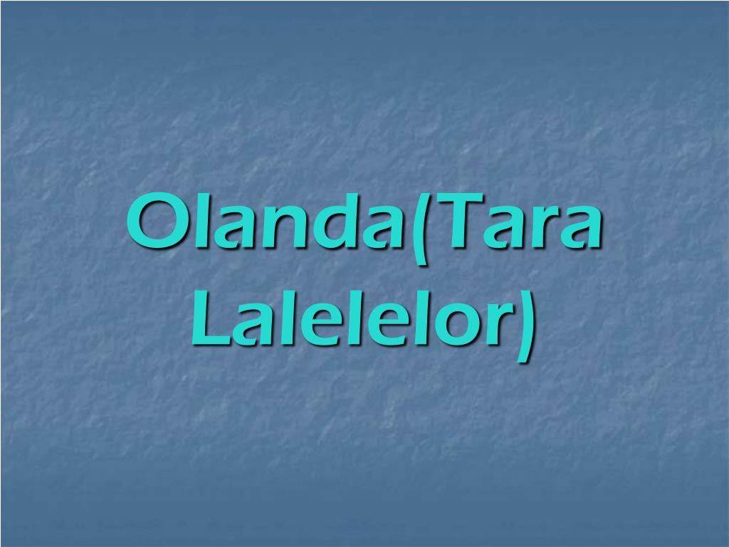 PPT - Olanda(Tara Lalelelor) PowerPoint Presentation, free download ...