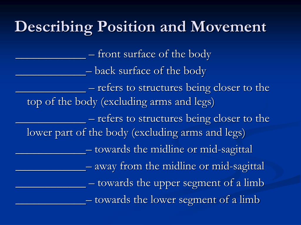 PPT - Describing Position and Movement PowerPoint Presentation, free ...