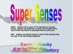 PPT - SUPER SENSES V EVS PowerPoint Presentation, free download - ID ...