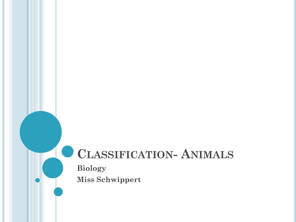 PPT - Classification- Animals PowerPoint Presentation, free download ...