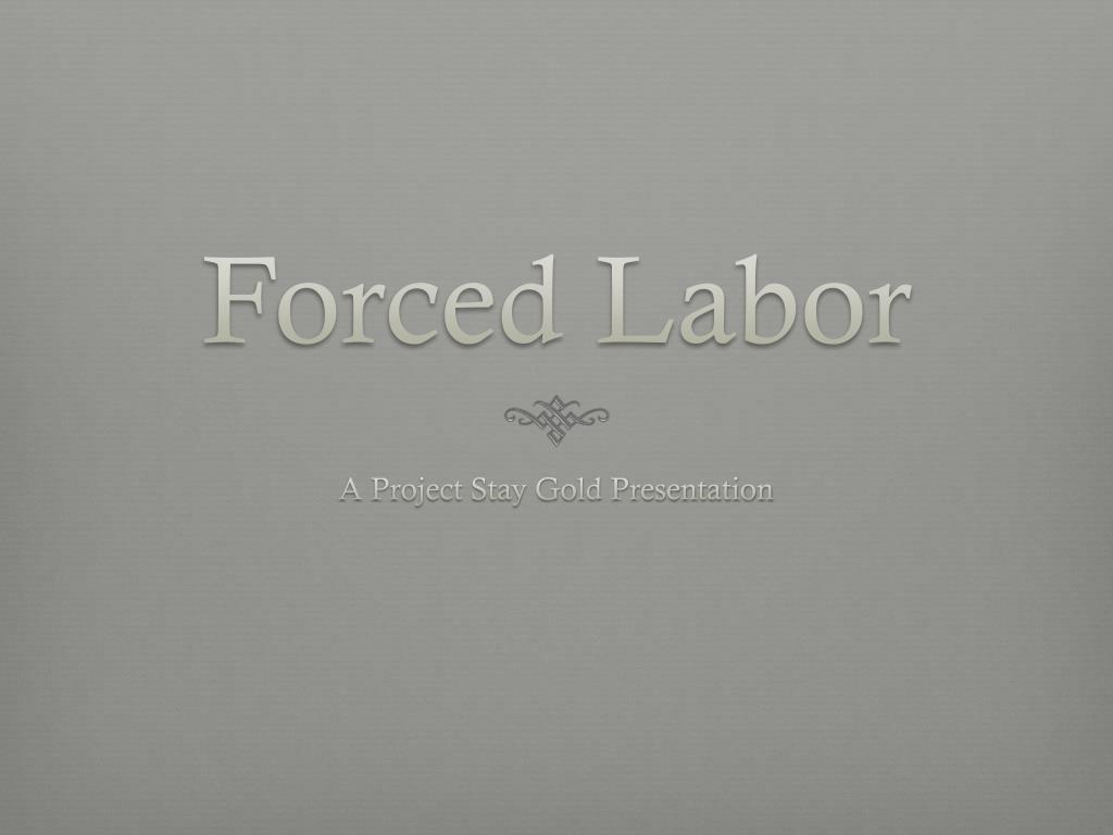 PPT - Forced Labor PowerPoint Presentation, free download - ID:5532700