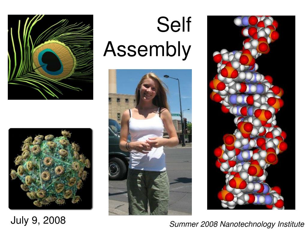 PPT - Self Assembly PowerPoint Presentation, free download - ID:5533042