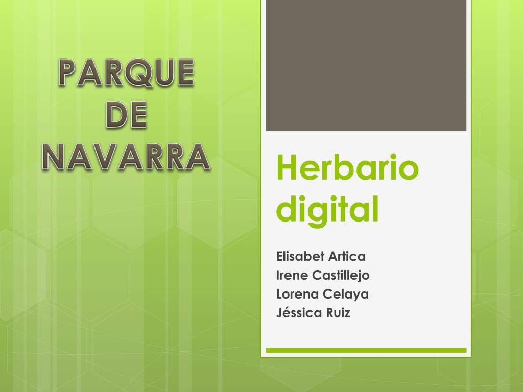PPT - Herbario digital PowerPoint Presentation, free download - ID:5533722