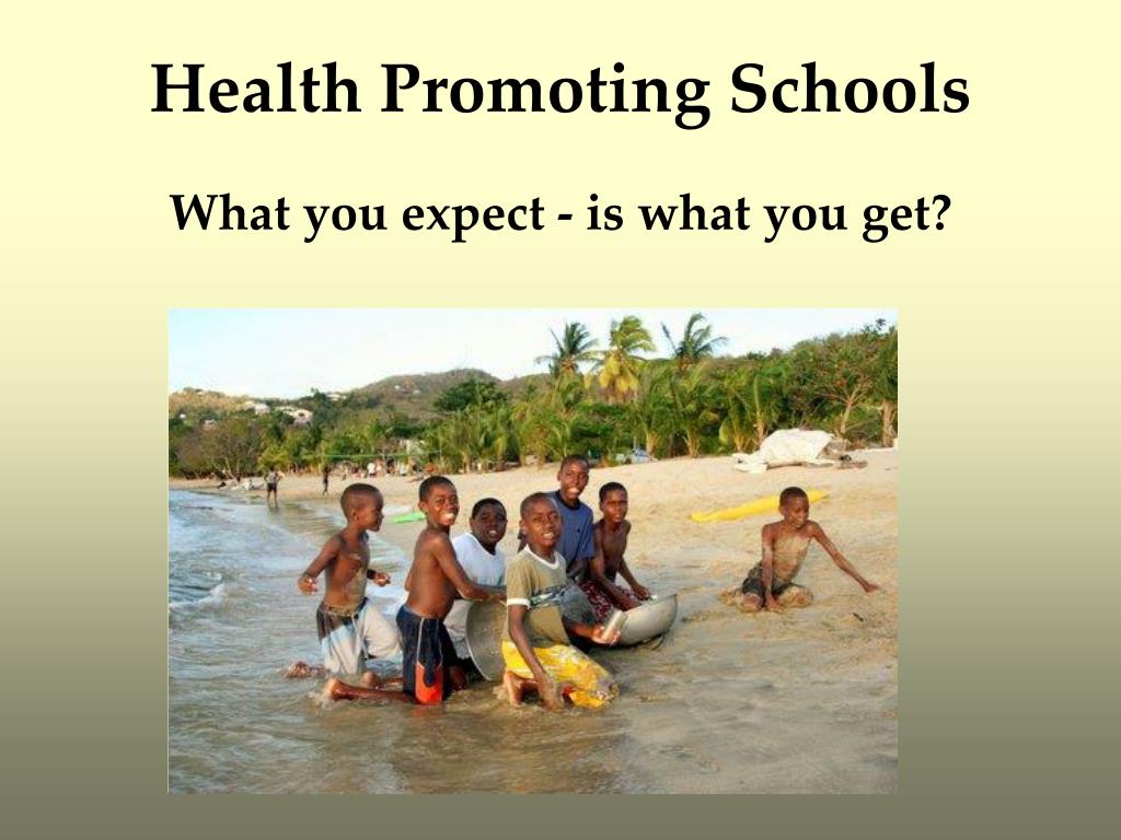PPT - Health Promoting Schools PowerPoint Presentation, free download ...