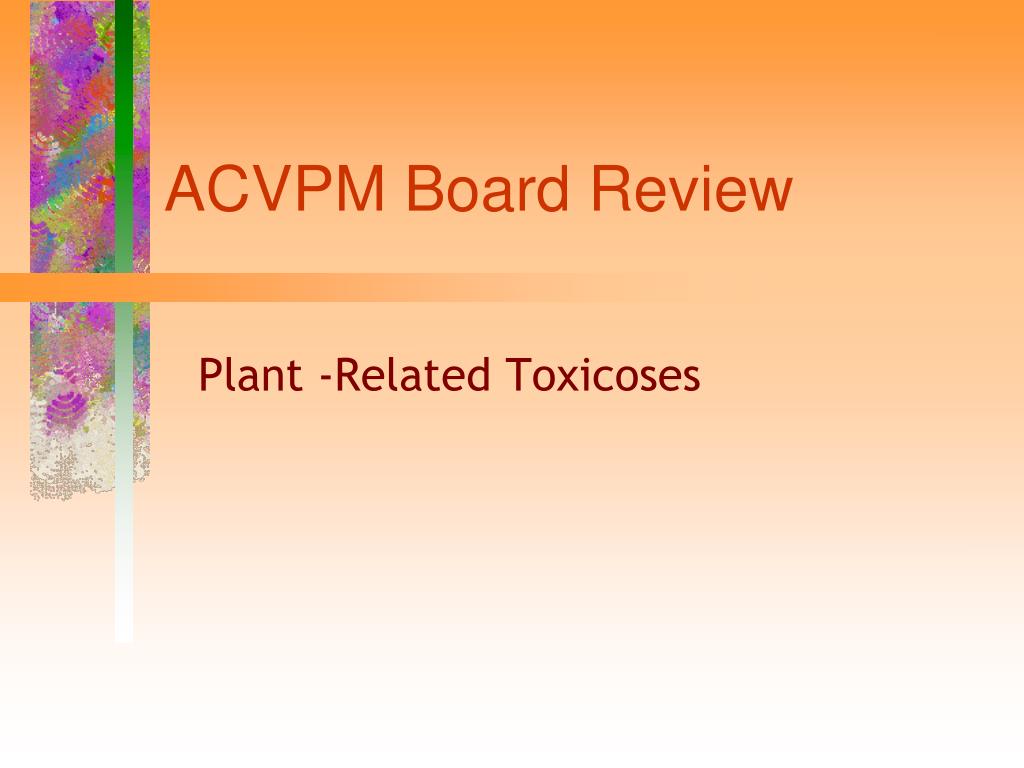 PPT - ACVPM Board Review PowerPoint Presentation, free download - ID ...