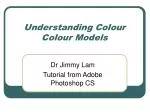PPT - Colour vision PowerPoint Presentation, free download - ID:5612054