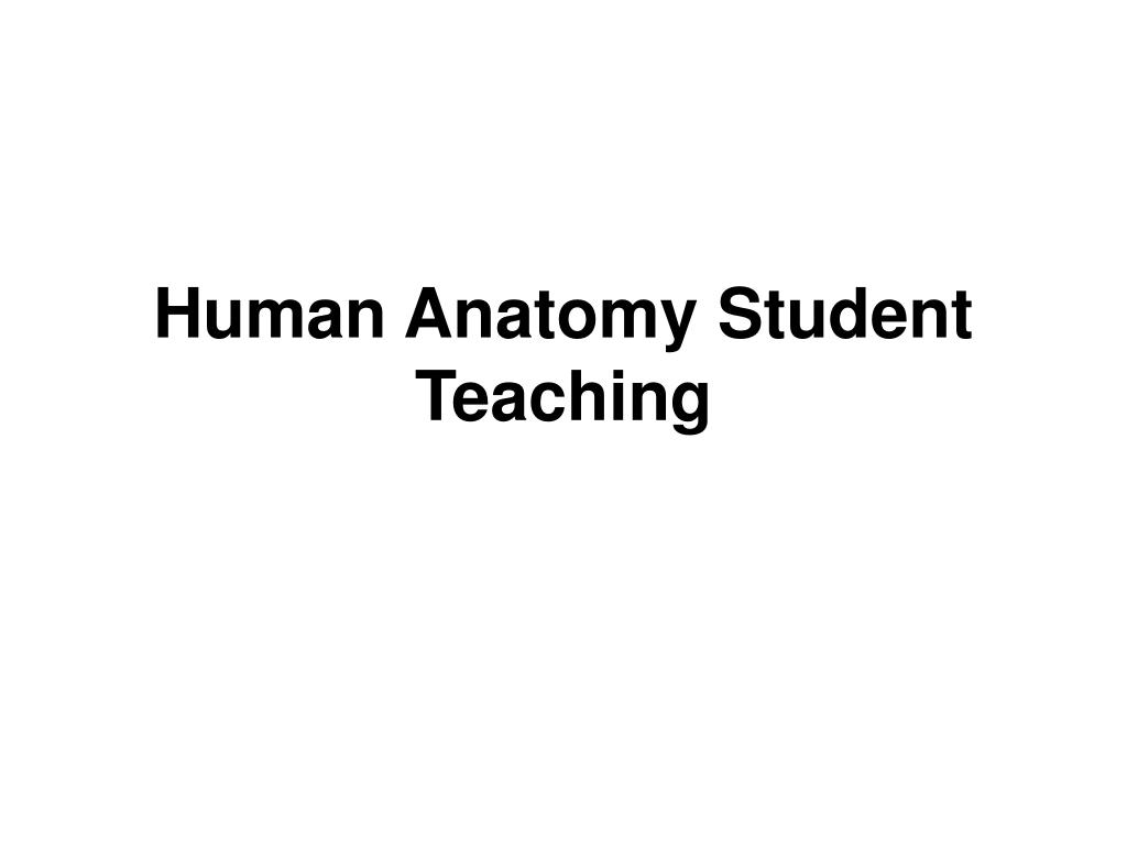 PPT - Human Anatomy Student Teaching PowerPoint Presentation, free ...