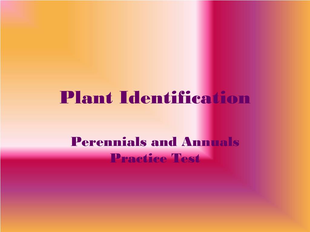 PPT - Plant Identification PowerPoint Presentation, free download - ID ...