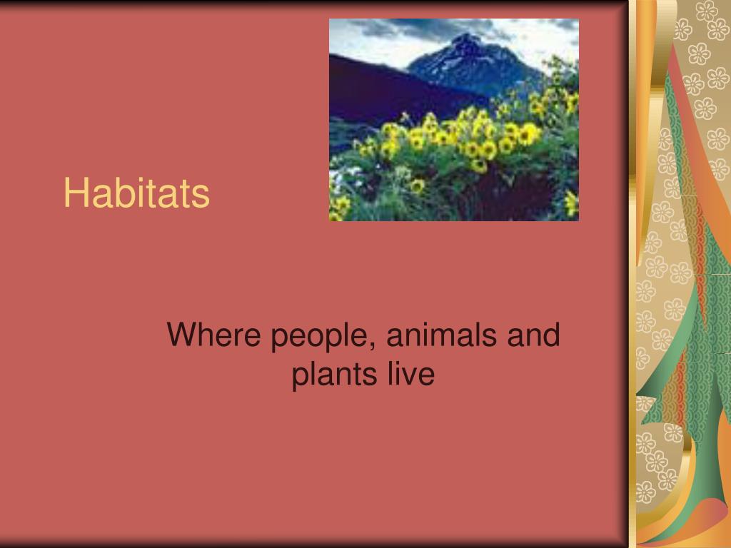 PPT - Habitats PowerPoint Presentation, free download - ID:5550356