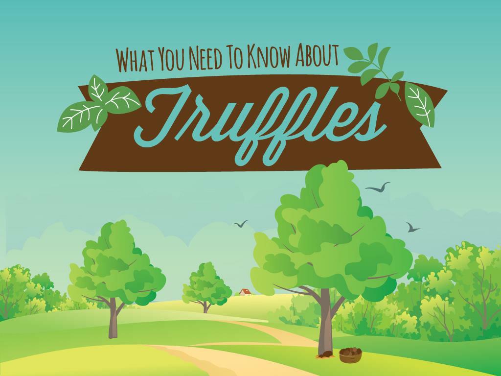 PPT - What You Need To Know About Truffles PowerPoint Presentation ...