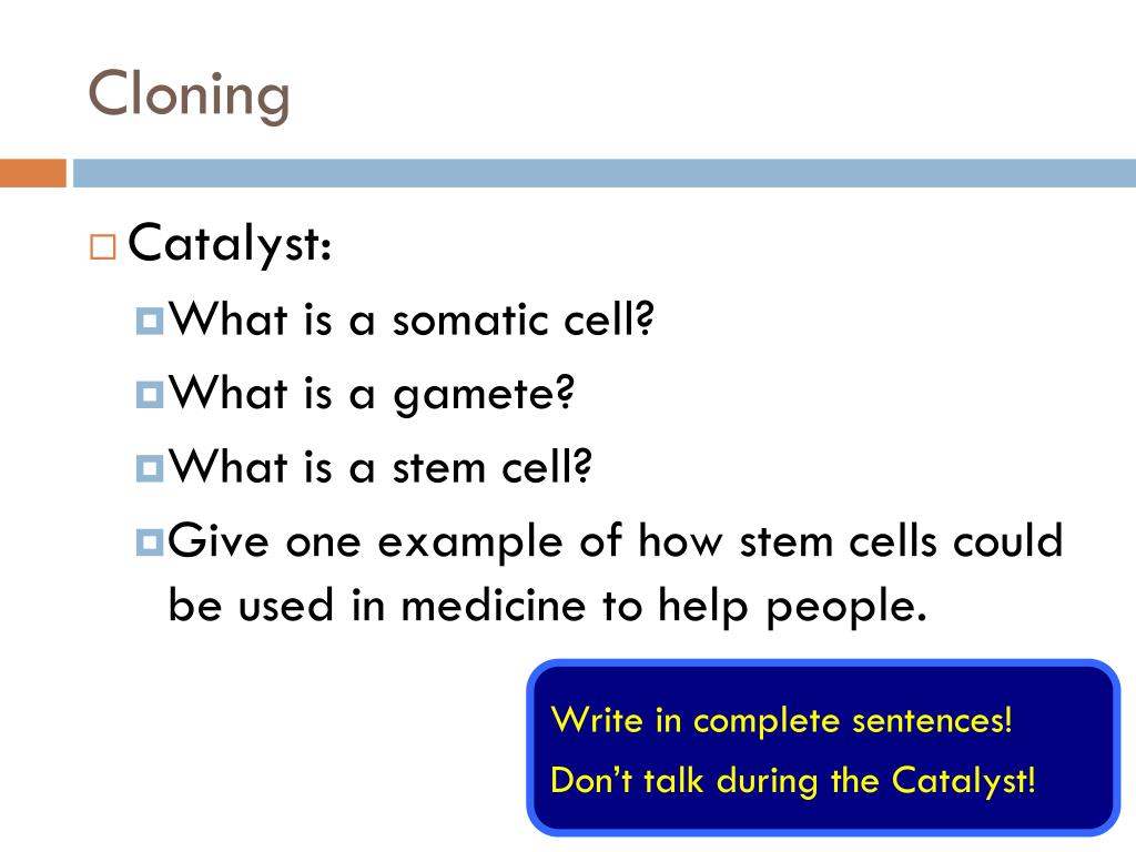 PPT - Cloning PowerPoint Presentation, free download - ID:5553195