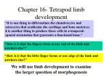 PPT - Tetrapod Limb Development PowerPoint Presentation, free download ...