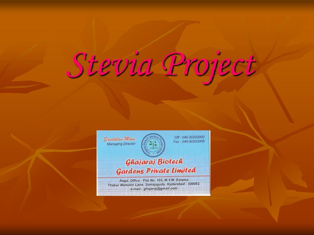 PPT - Stevia Project PowerPoint Presentation, free download - ID:5556096