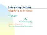 PPT - Laboratory Animal Handling Technique PowerPoint Presentation ...