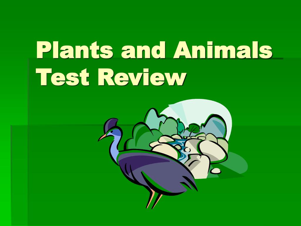 PPT - Plants and Animals Test Review PowerPoint Presentation, free ...