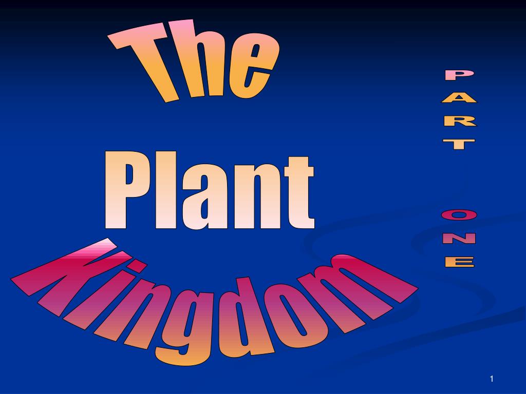 PPT - The Plant Kingdom PowerPoint Presentation, free download - ID:5558646