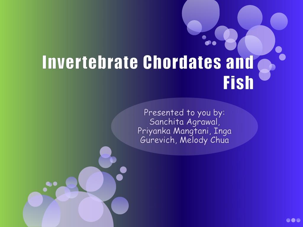 PPT - Invertebrate Chordates and Fish PowerPoint Presentation, free ...