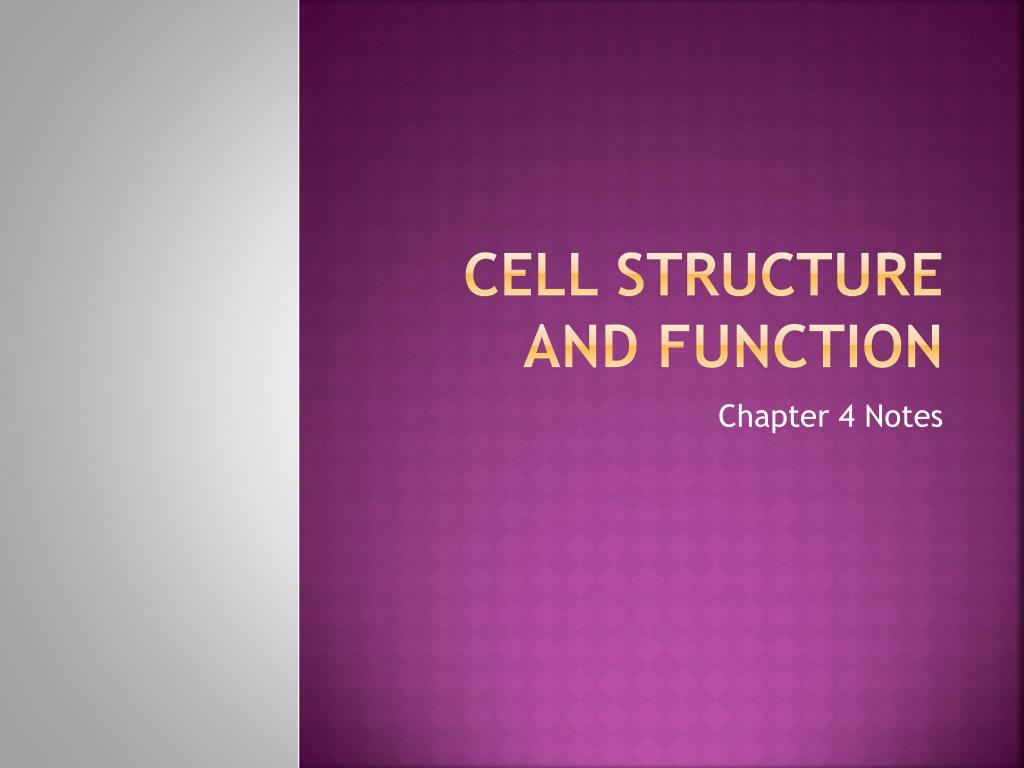 PPT - Cell Structure and Function PowerPoint Presentation, free ...