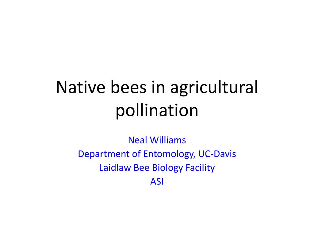 PPT - Native bees in agricultural pollination PowerPoint Presentation ...
