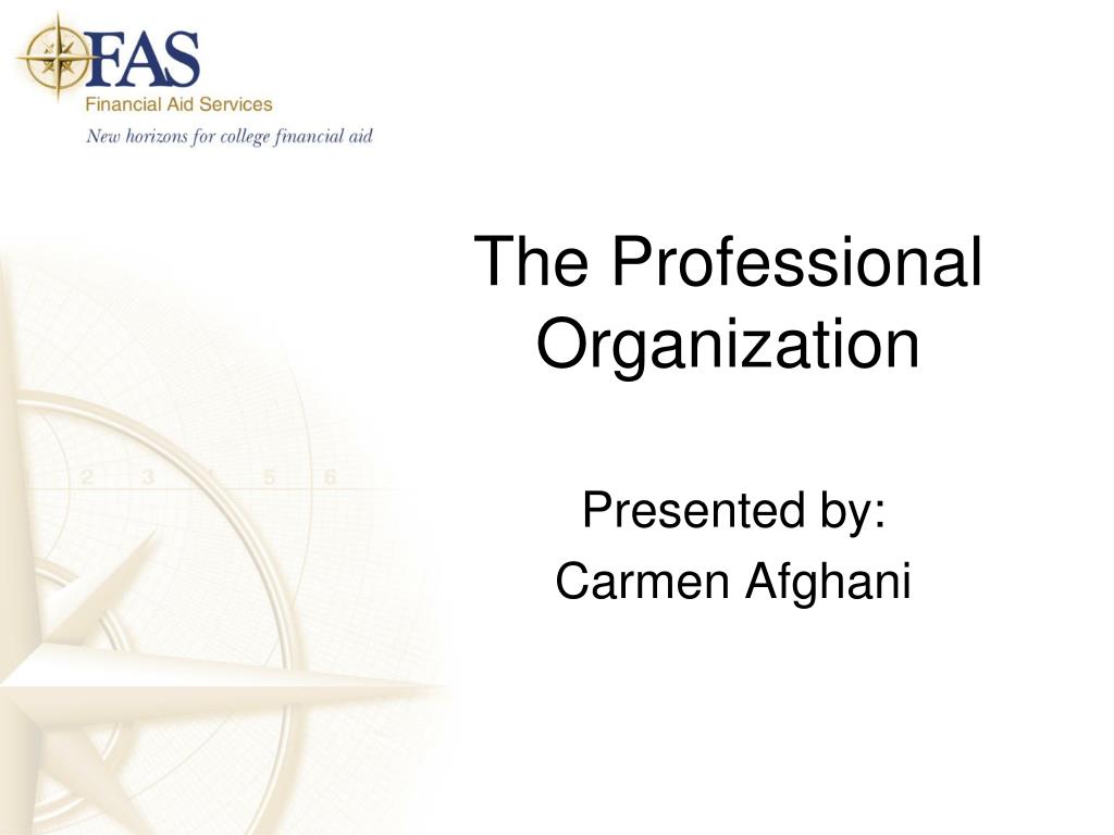 PPT - The Professional Organization PowerPoint Presentation, free ...