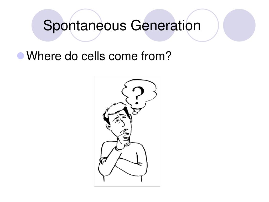 PPT - Spontaneous Generation PowerPoint Presentation, free download ...