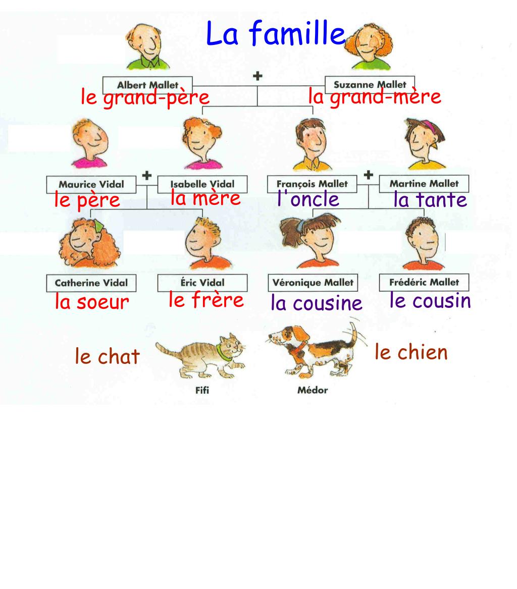 PPT - La famille PowerPoint Presentation, free download - ID:5565632